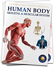 Buy Human Body - Skeletal And Muscular System: Knowledge Encyclopedia ...